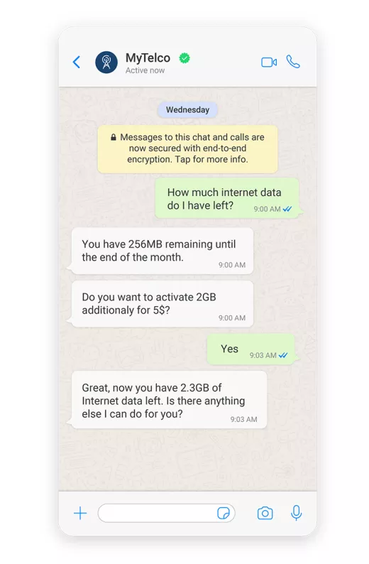 Effective WhatsApp marketing strategy: Tips & tricks - Infobip